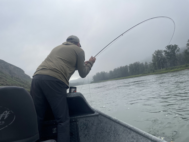 Calgary Fly Fishing Blog, Guided Bow River Fly Fishing Trips