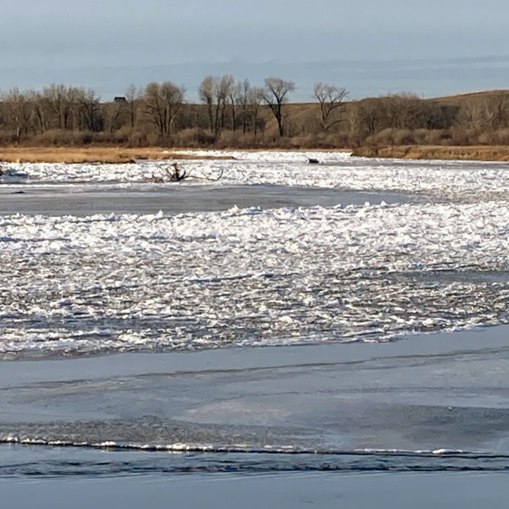 Calgary Fly Fishing Blog, Guided Bow River Fly Fishing Trips